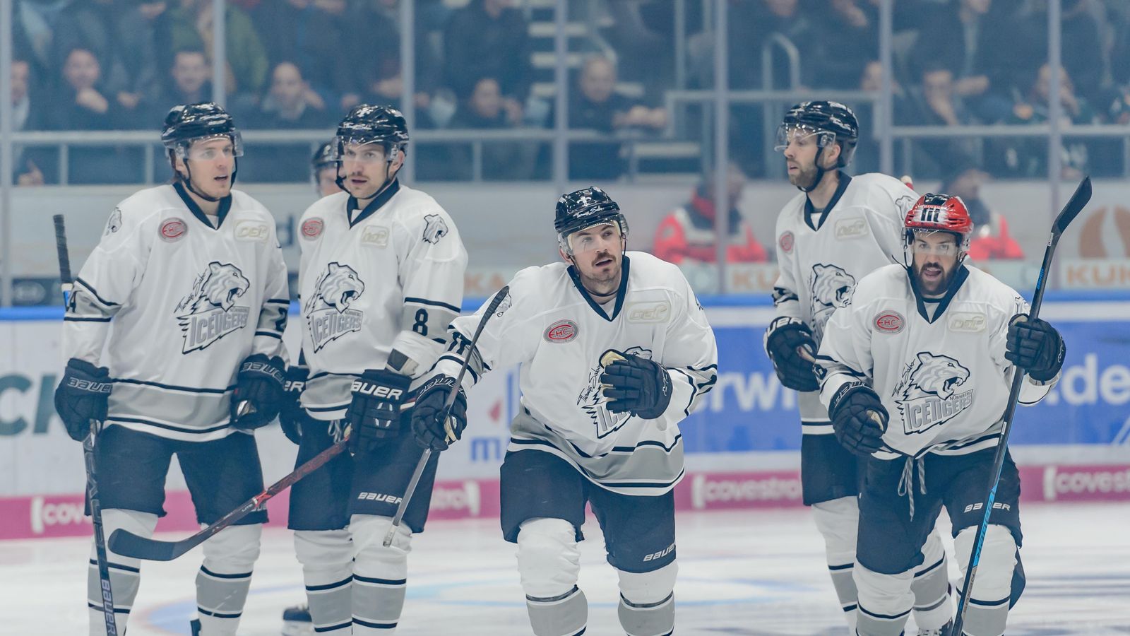 Eisbären Berlin und Nürnberg Ice Tigers haben Viertelfinale vor Augen ...
