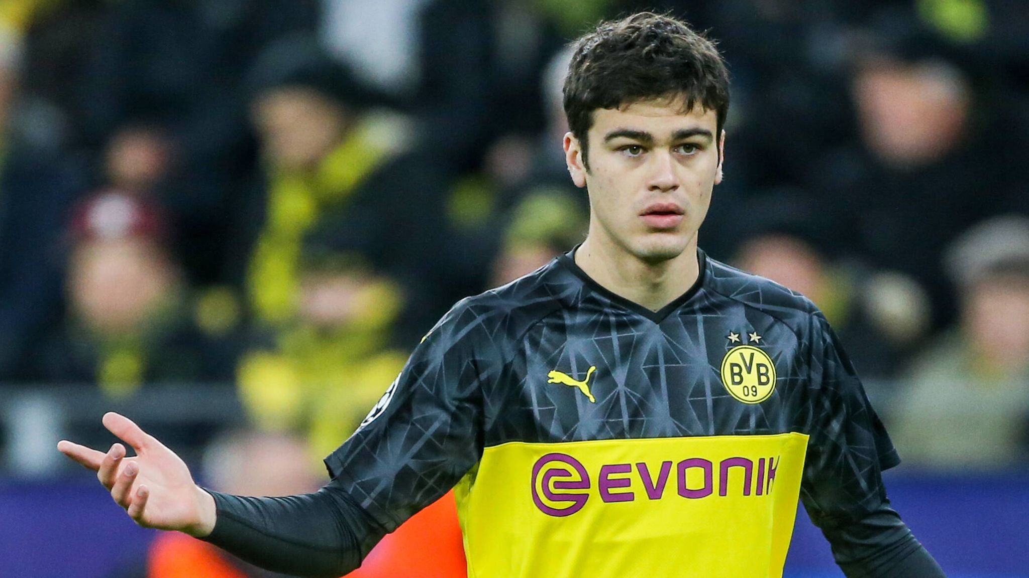 Borussia Dortmund: Giovanni Reyna könnte für vier Länder spielen ...