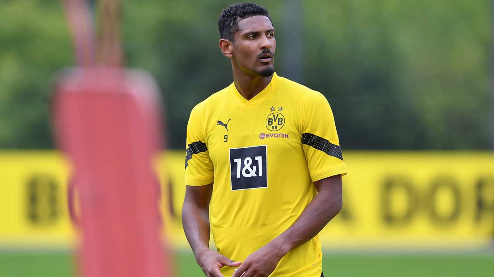 Hodentumor bei Sebastien Haller: BVB gibt genaue Diagnose bekannt ...