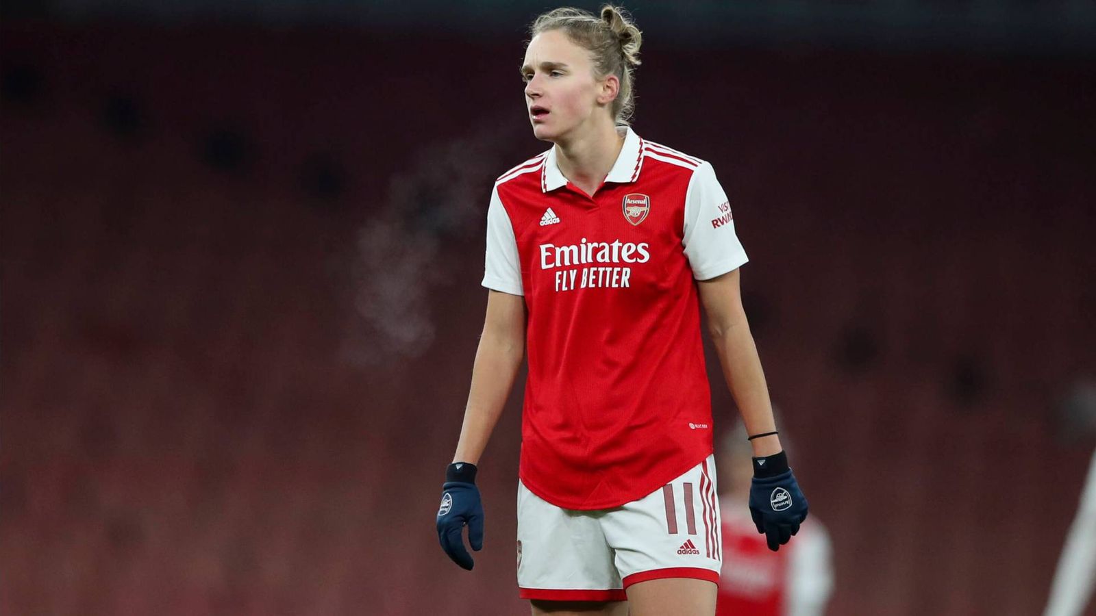 Fußball: Miedema erleidet Kreuzbandriss | Fußball News | Sky Sport