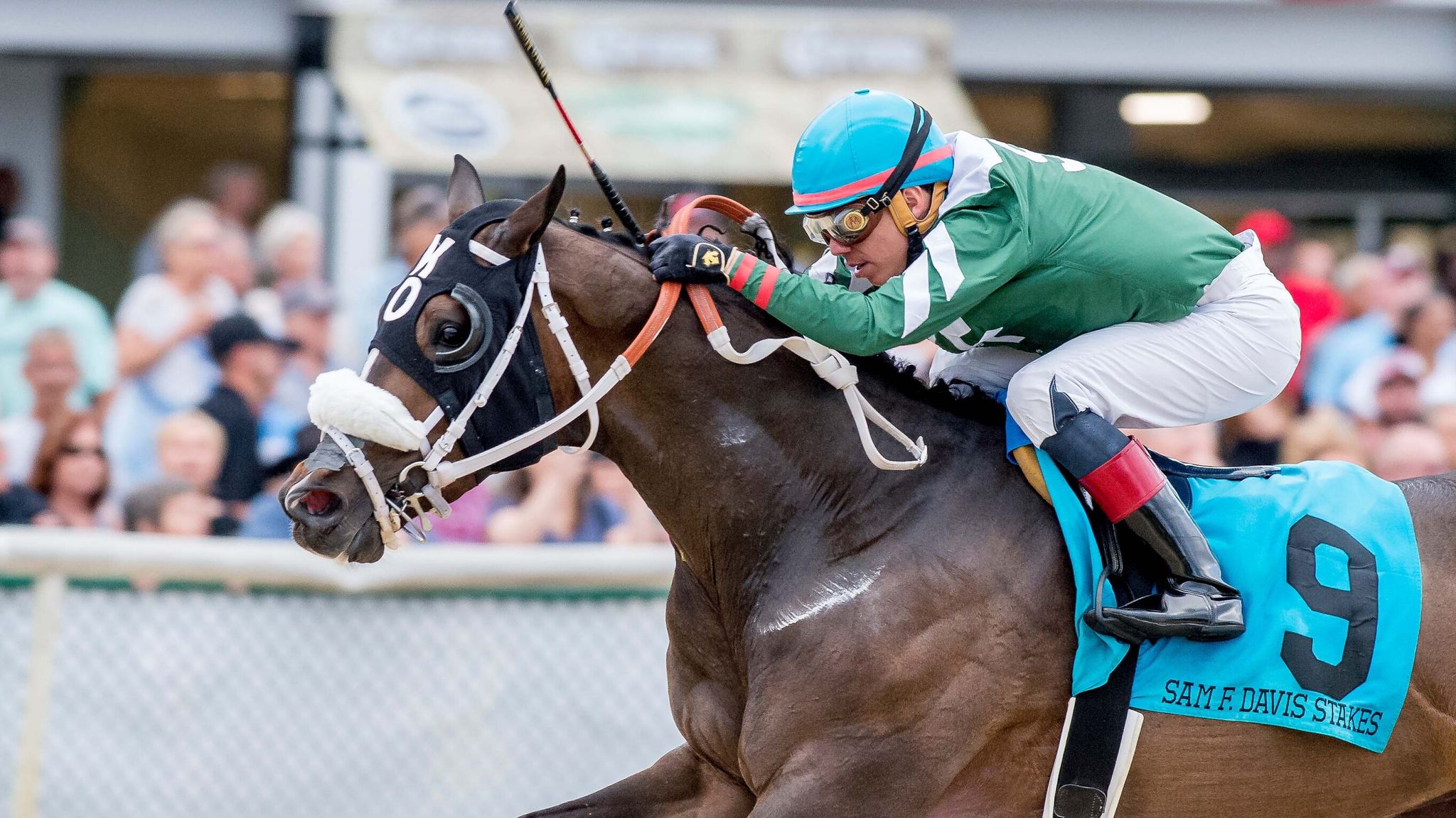 Pferderennen: Pferd beißt Jockey in Startbox den Finger ab | Mehr Sport ...