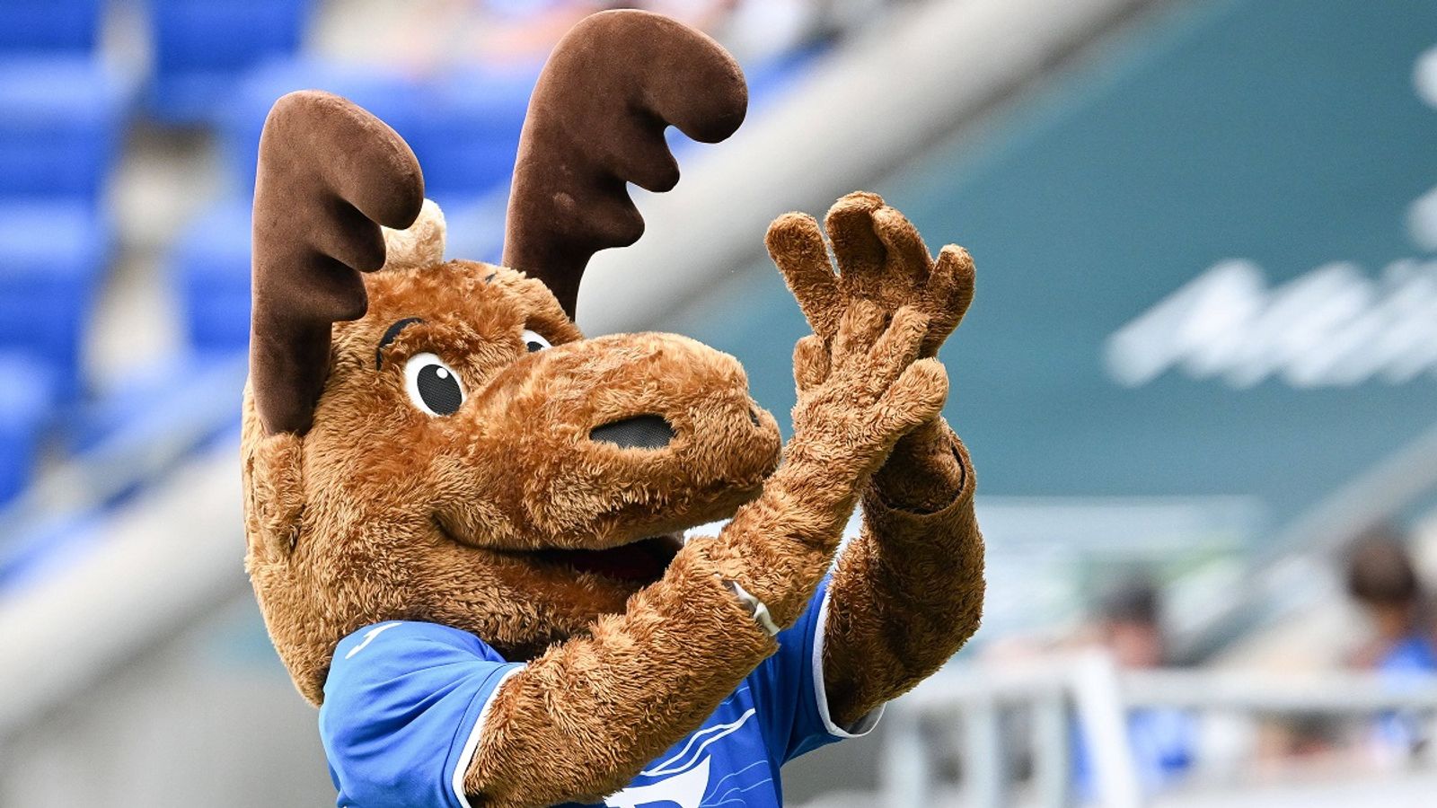 Bundesliga: Maskottchen und Stadionhymne: Bayern nur im unteren Drittel ...