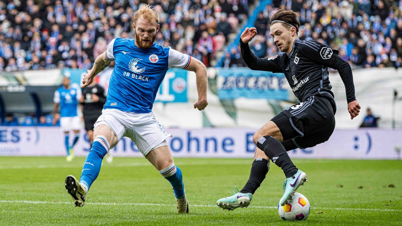 Spielbericht | Rostock - Hamburg | 17.02.2024
