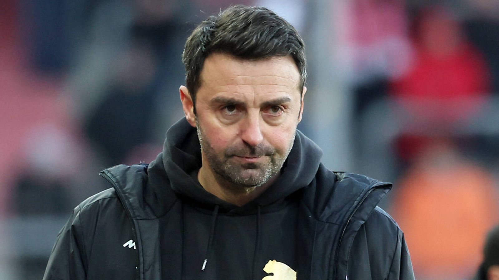 Stefan Reisinger folgt in Halle auf Sreto Ristic | Transfer Centre News ...