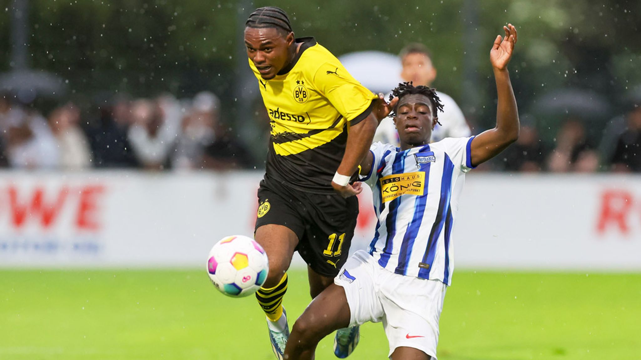 Charles Herrmann vor Wechsel vom BVB zu Borussia Mönchengladbach ...