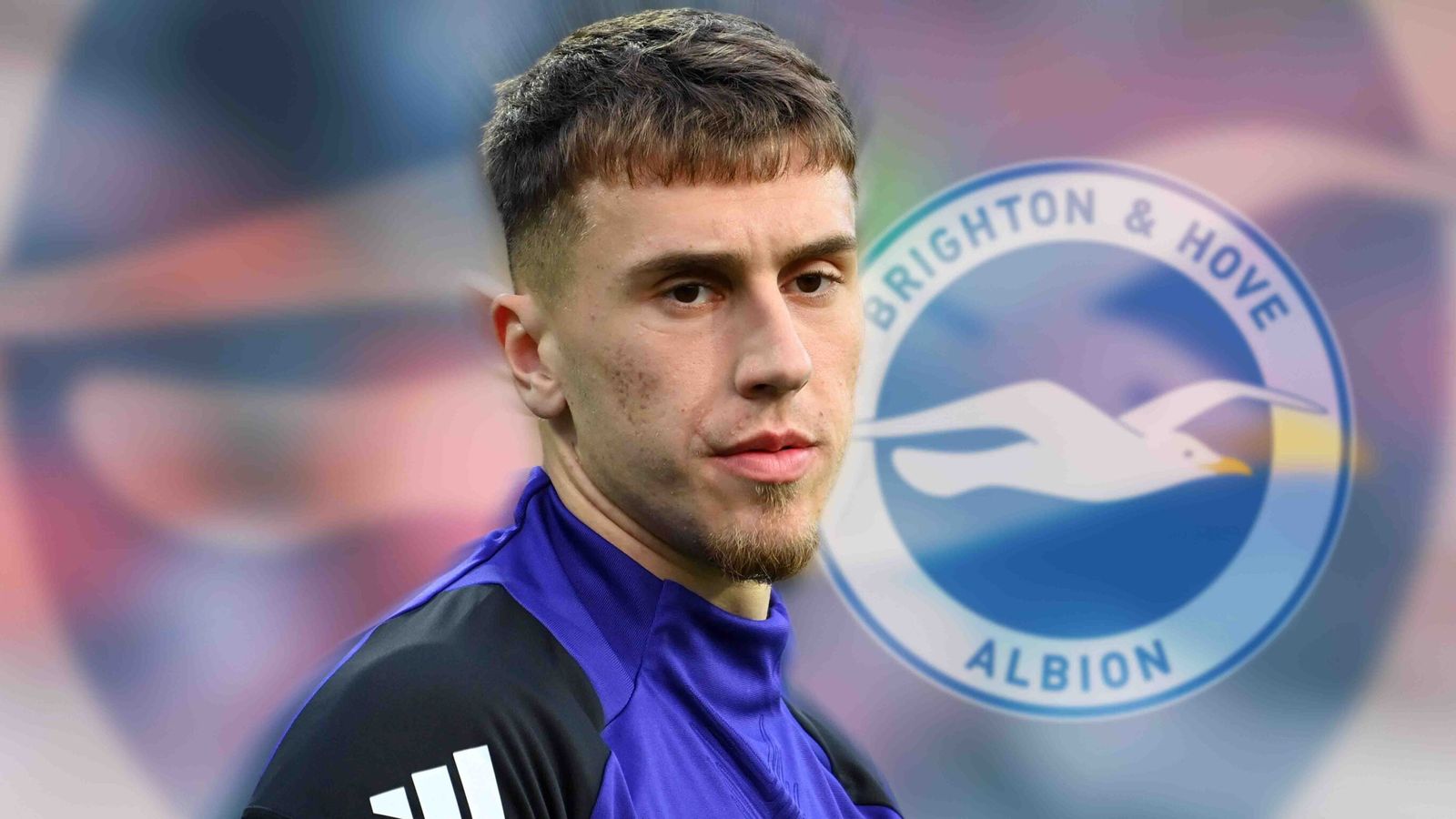 Brajan Gruda wechselt vom FSV Mainz 05 zu Brighton & Hove Albion ...