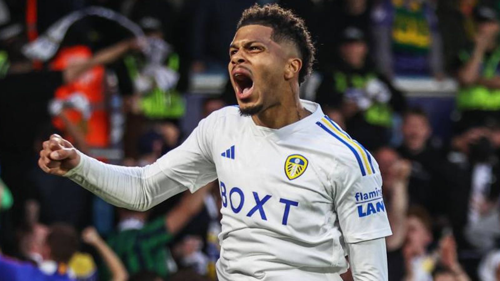 TSG Hoffenheim erhält etwa sieben Millionen Euro durch Brighton ...