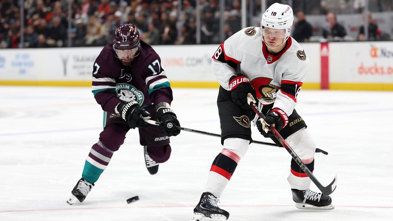 Tim Stützle & die Ottawa Senators feiern klaren 5:1-Erfolg gegen die ...