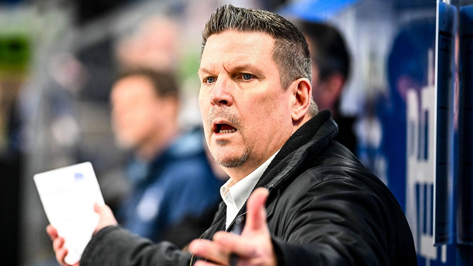 Straubing Tigers trennen sich in der DEL von Headcoach Tom Pokel ...