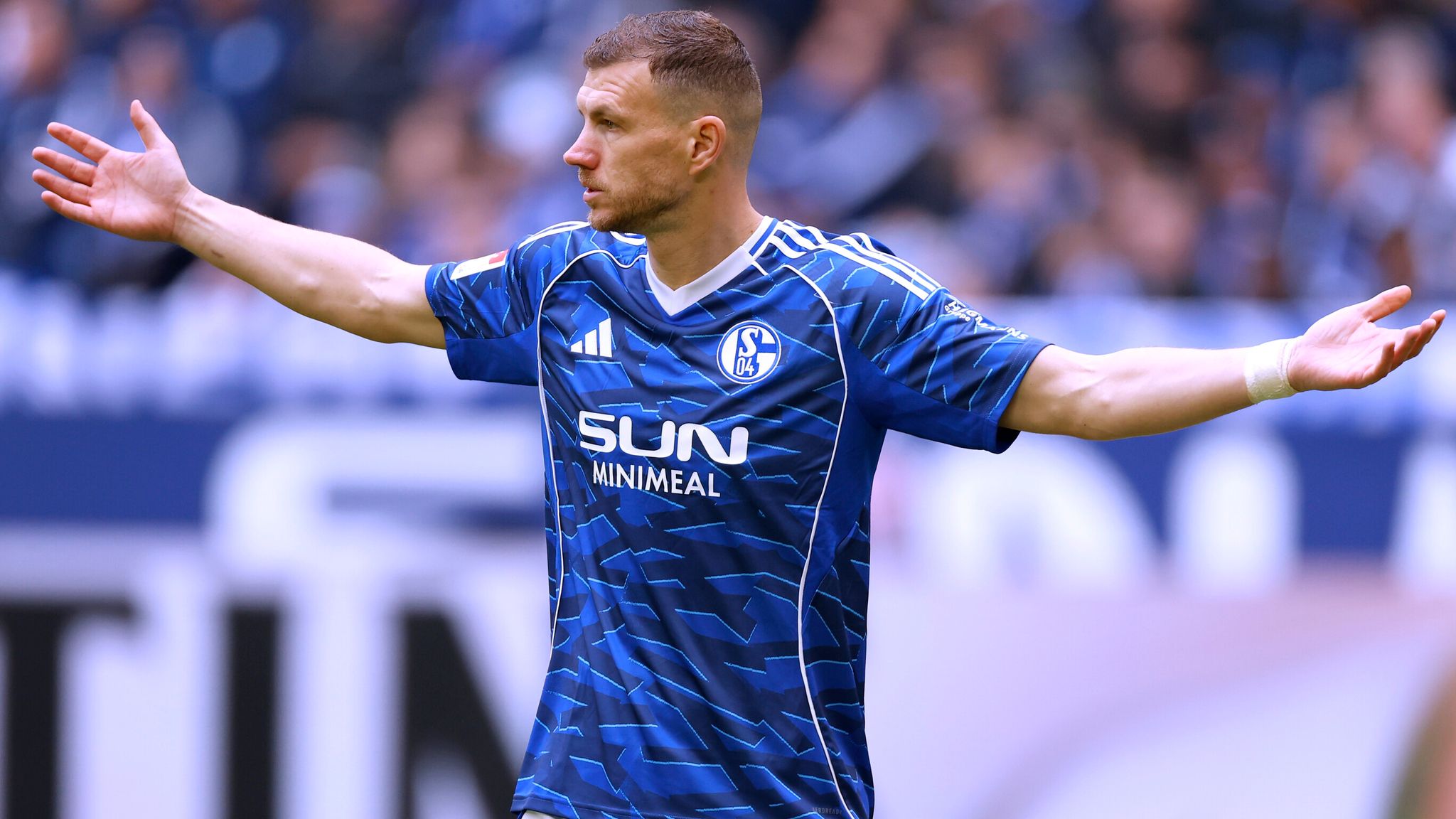 Schalke-Star Edin Dzeko nach Roter Karte für zwei Spiele gesperrt ...